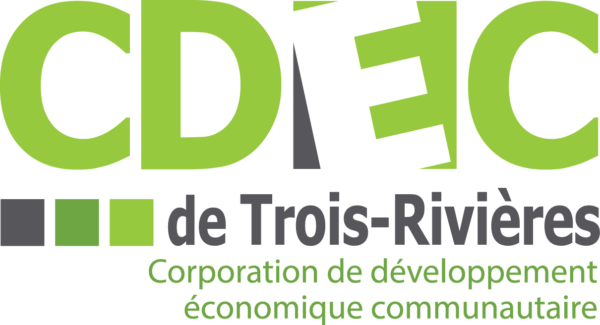 PING! Formation gratuite à Internet et d'introduction à l'informatique